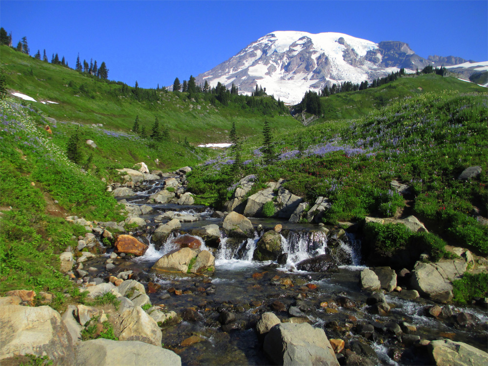 Top 10 Things to See and Do in Washington State - PandoTrip.com