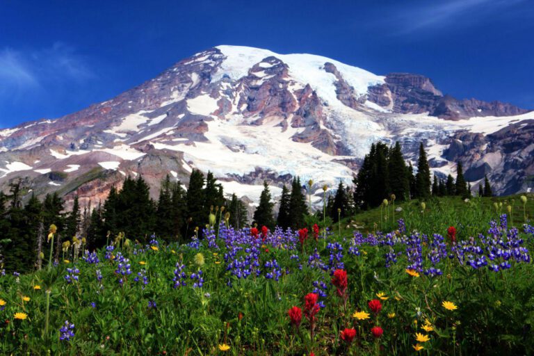 Top 10 Things to See and Do in Washington State - PandoTrip.com