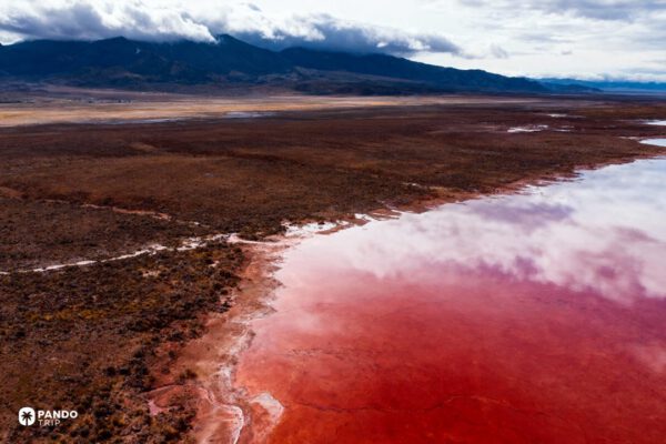 Lake Natron: The World's Most Dangerous Red Lake (Plus Other Crimson ...