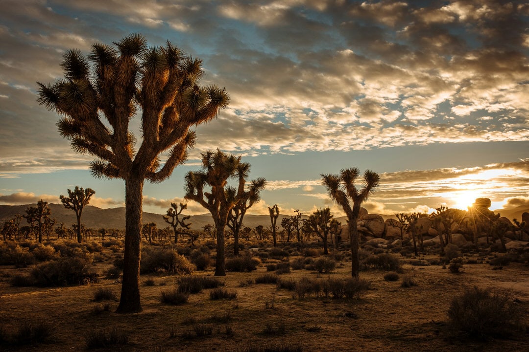 Fun Road Trips Near LA To Enjoy With Your Friends - PandoTrip.com