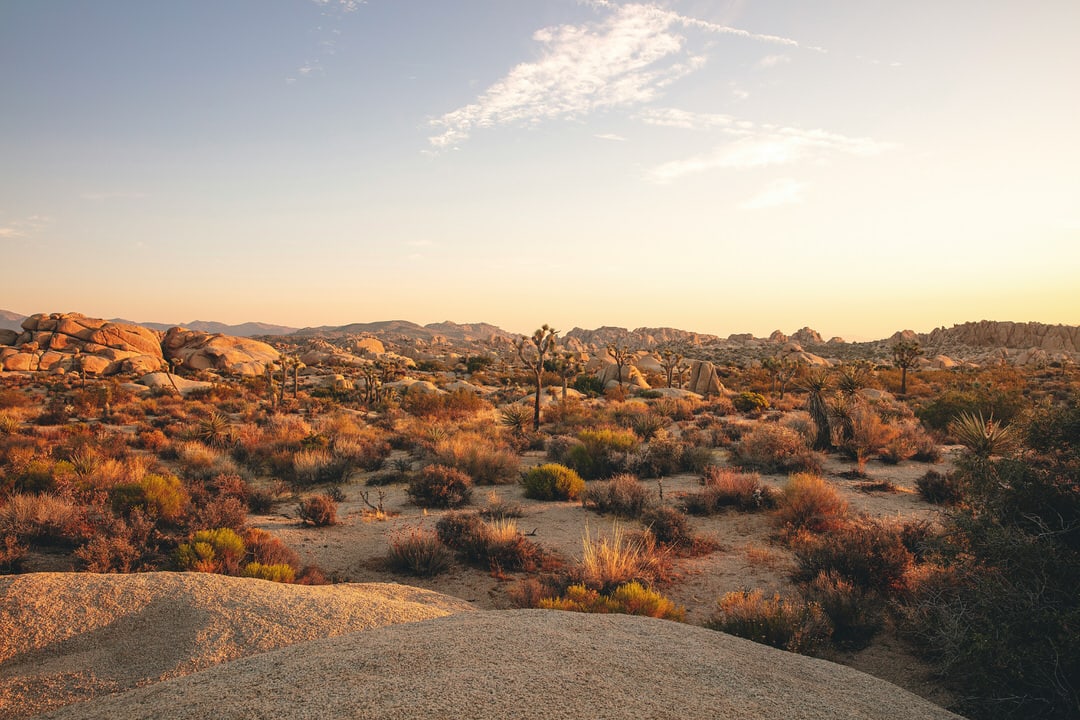 Fun Road Trips Near LA To Enjoy With Your Friends - PandoTrip.com